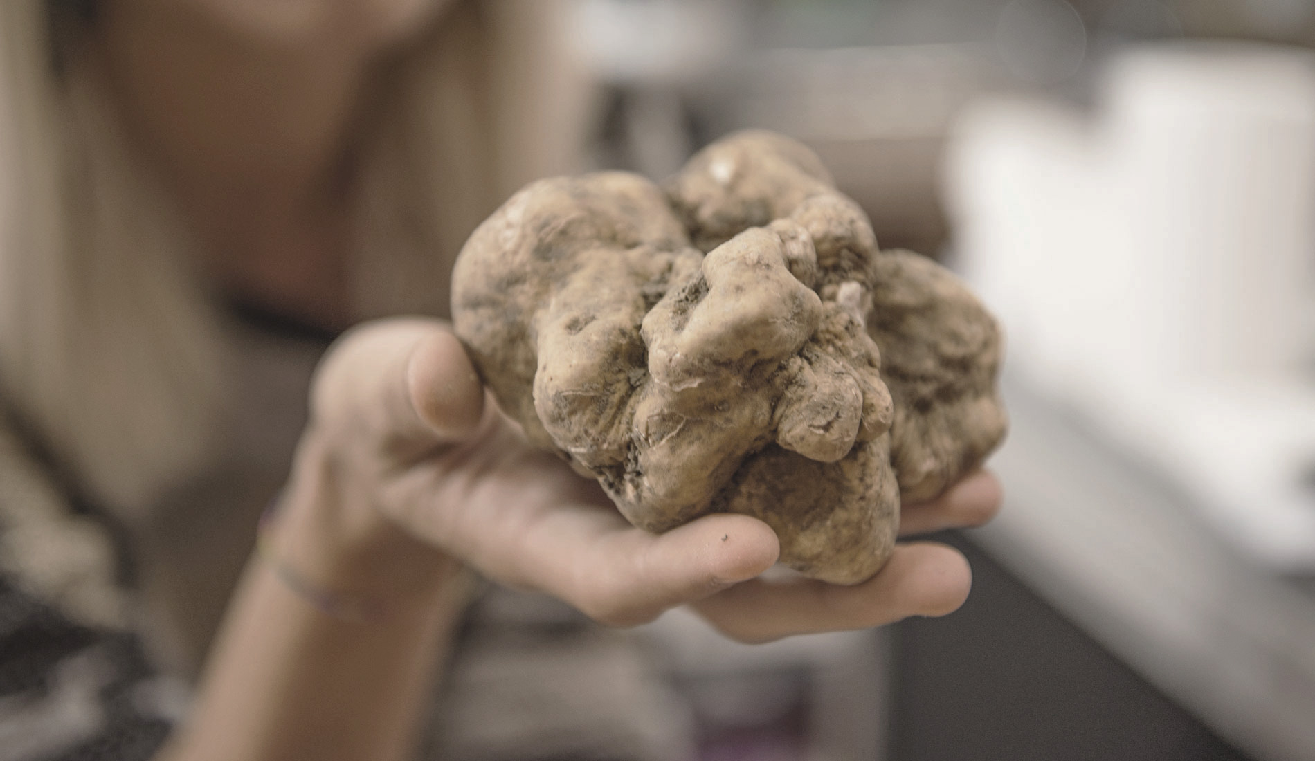 5 eventos onde saborear a deliciosa trufa branca na Itália (tartufo ...