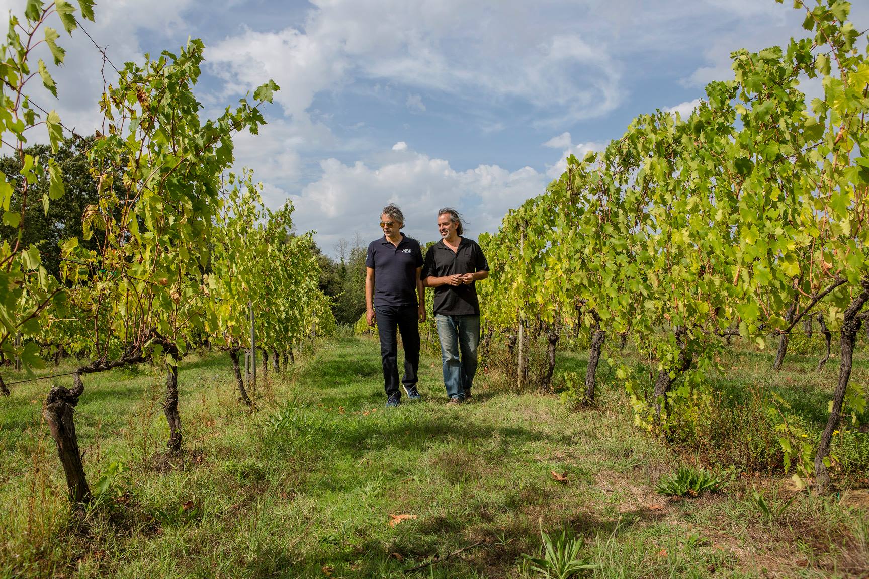 Descubra os vinhos italianos que você não sabia que Andrea Bocelli ...